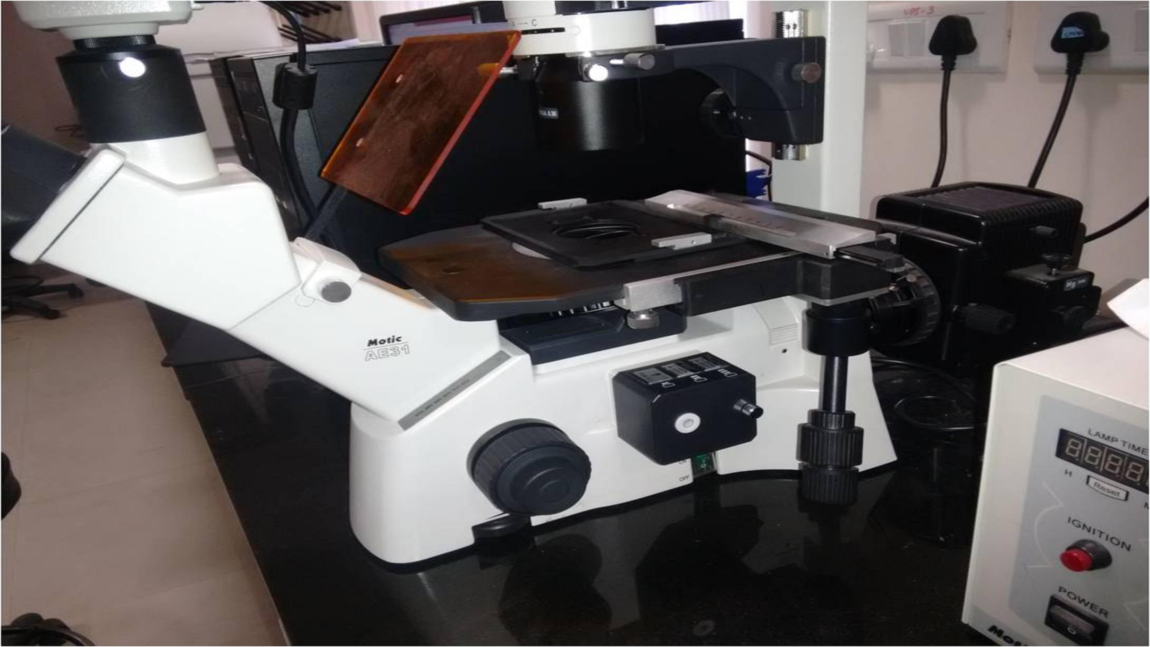 | Labcompare Product Review. Inverted Microscope (Fluorescence) | Labcompare.com